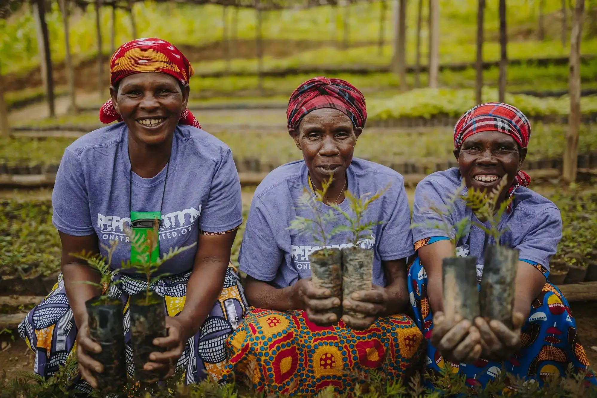 ARCOS' Tree-mendous Efforts to Restore Rwanda's Ecosystem | AFR100